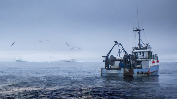 Tættest på fisken, kunden og forbrugeren